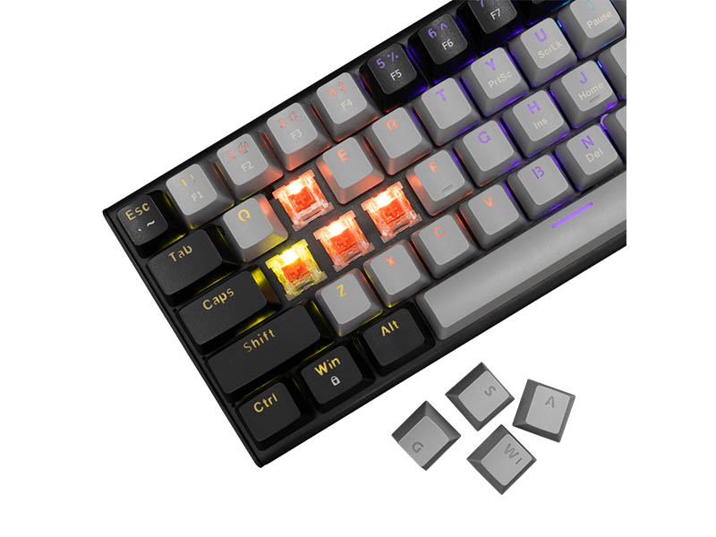 Keyboard White Shark Gaming Wakizashi 2 60% Mechanical RGB Grey/Black ...